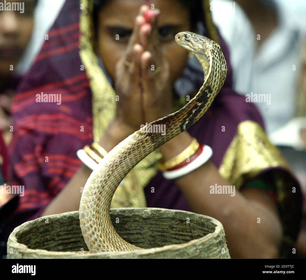 Hindu goddess of snakes hi-res stock photography and images - Alamy