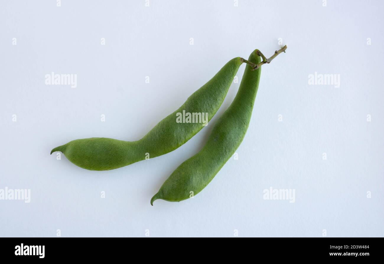 Soybean seeds pod hi-res stock photography and images - Alamy