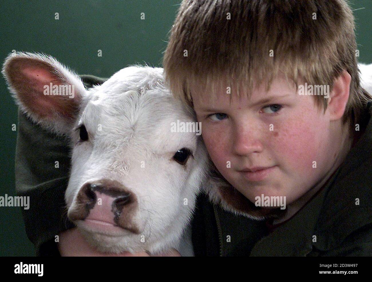 Devon foot and mouth ross board hi-res stock photography and images - Alamy