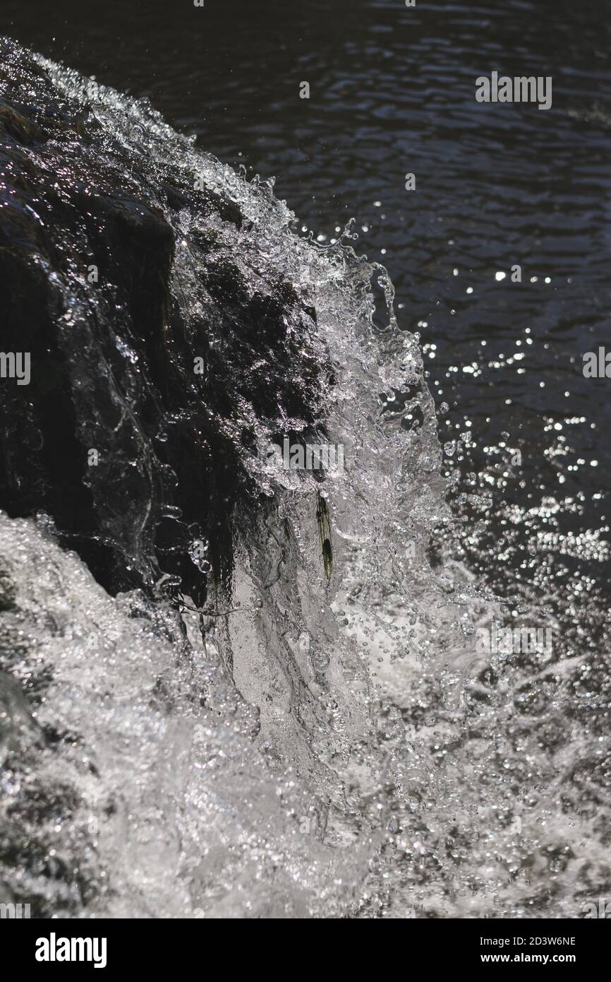Black and white vertical shot of splashing water stream - perfect for ...