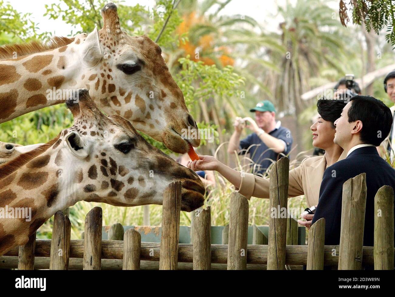 Giraffe zoo japan hi-res stock photography and images - Alamy
