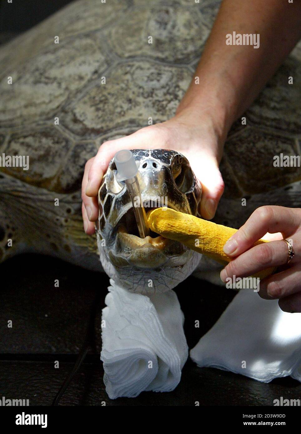 Prised open hi-res stock photography and images - Alamy