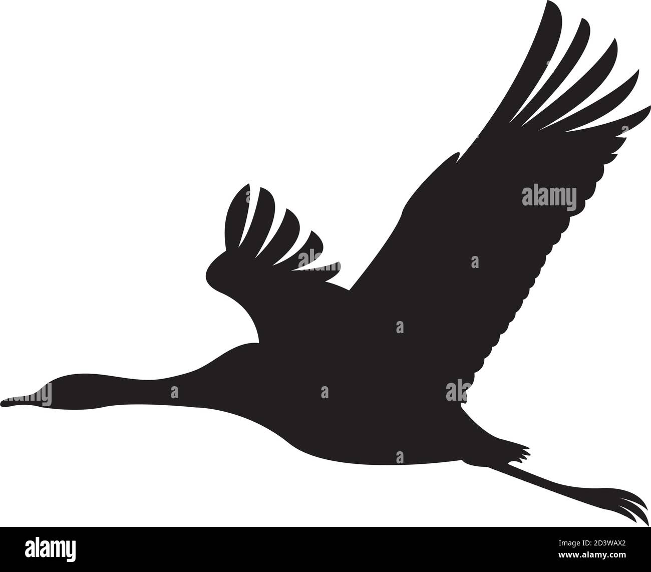 black stork design, Animal feather wildlife and beak theme Vector ...