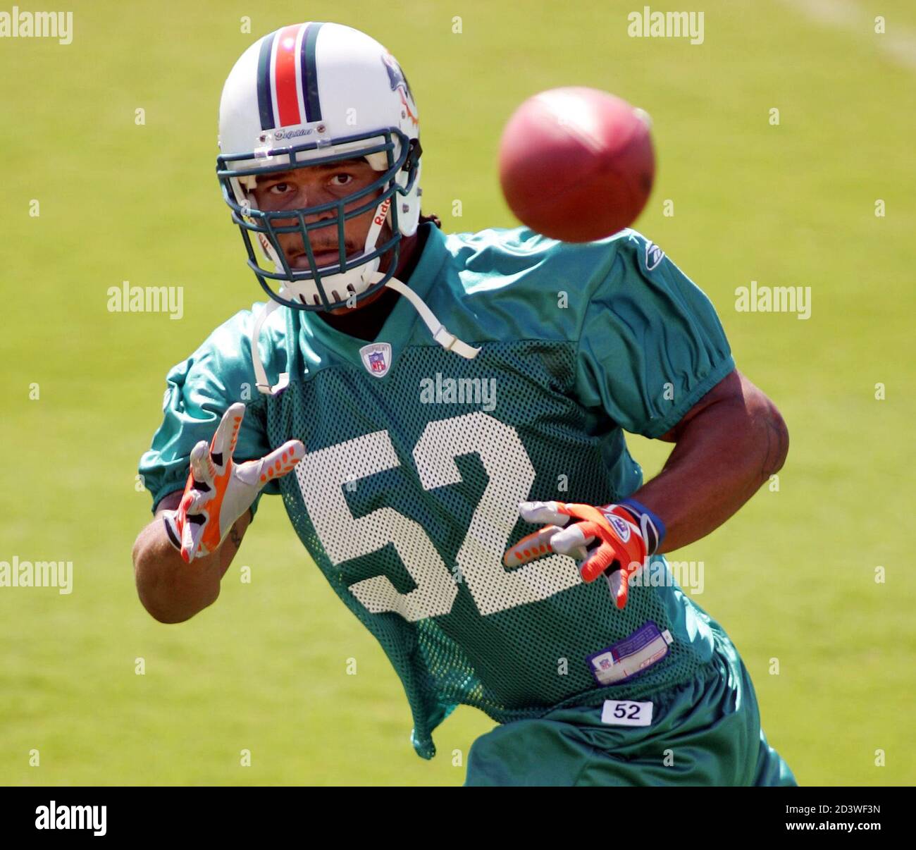 Channing crowder nfl hi-res stock photography and images - Alamy