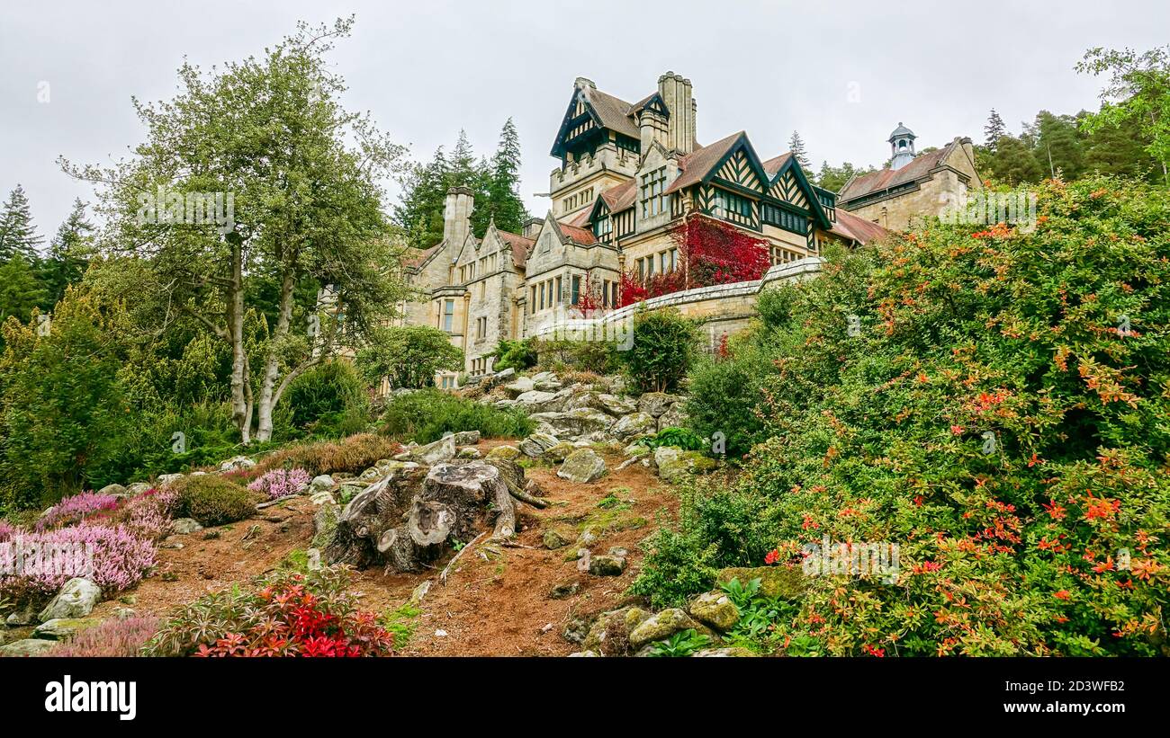 House and pine trees hi-res stock photography and images - Alamy