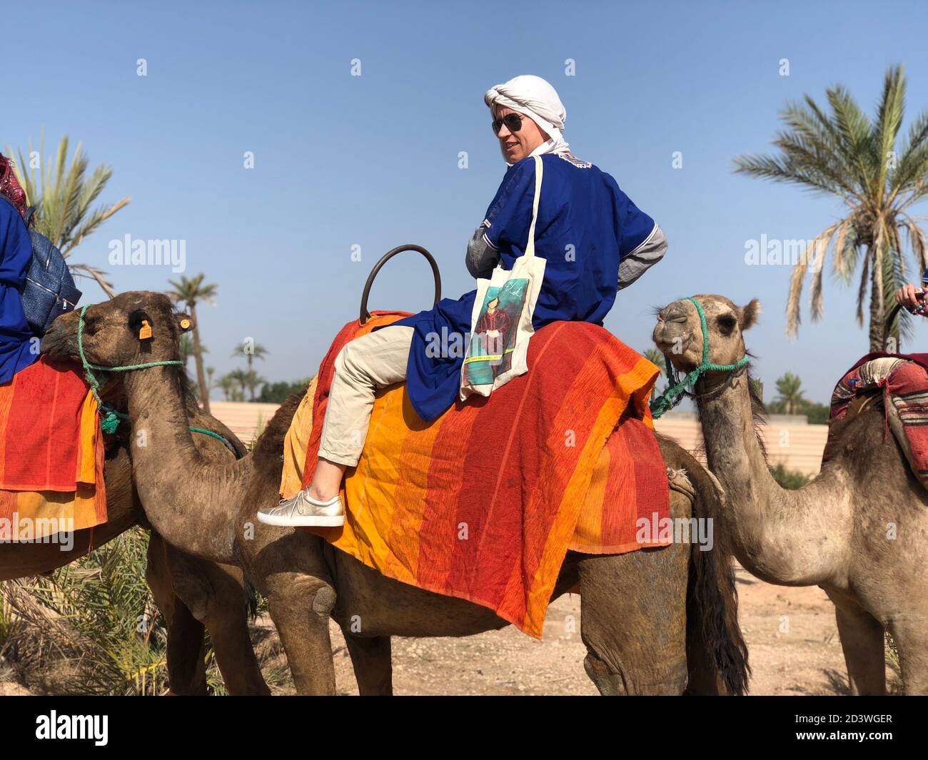 Tourist woman rides a camel during the tourist camel tour Stock Photo ...