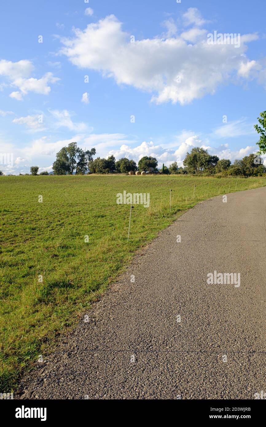 Tarmac path grass hi-res stock photography and images - Alamy