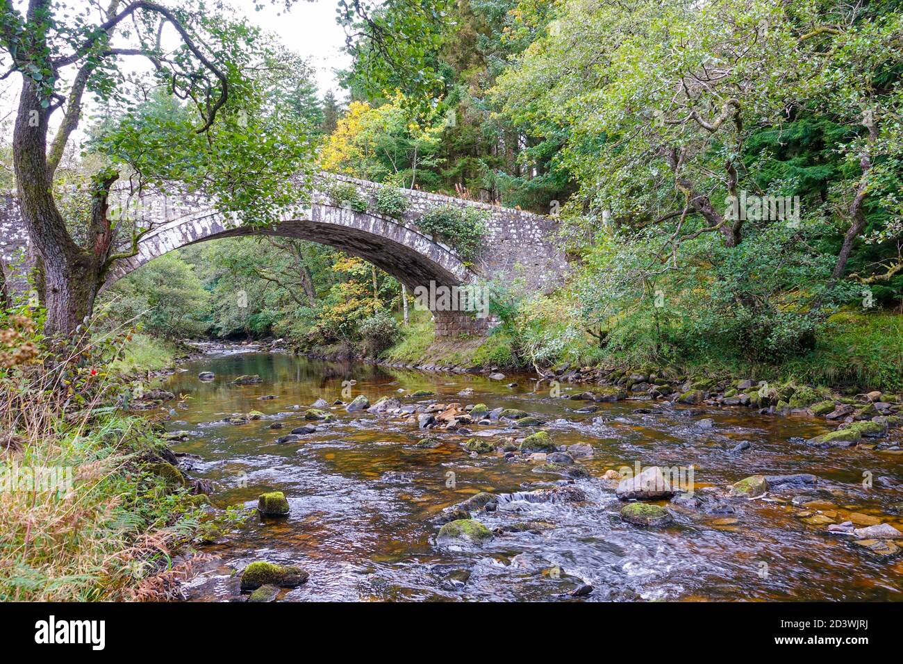 Arch oak hi-res stock photography and images - Alamy