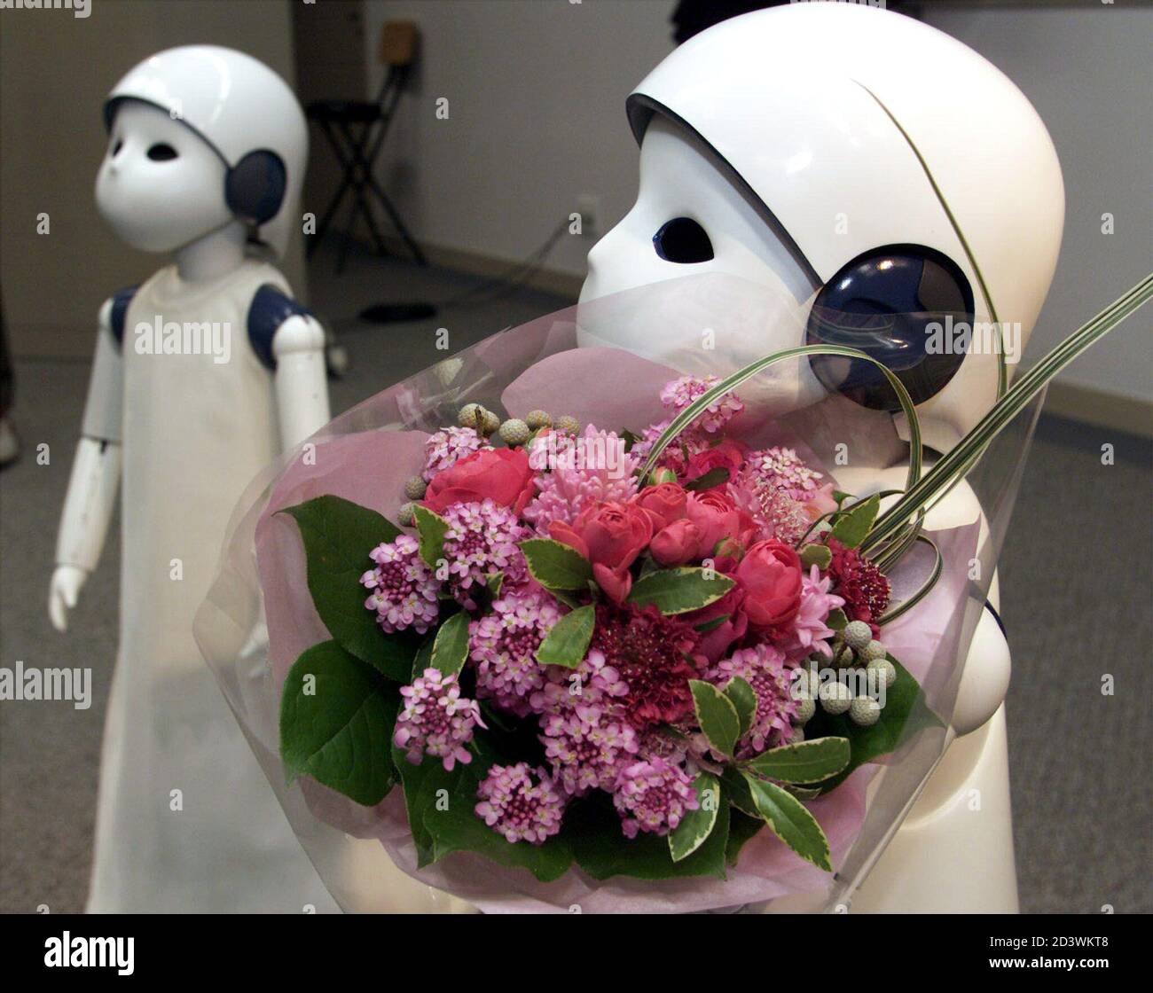 Humanoid flower hi-res stock photography and images - Alamy