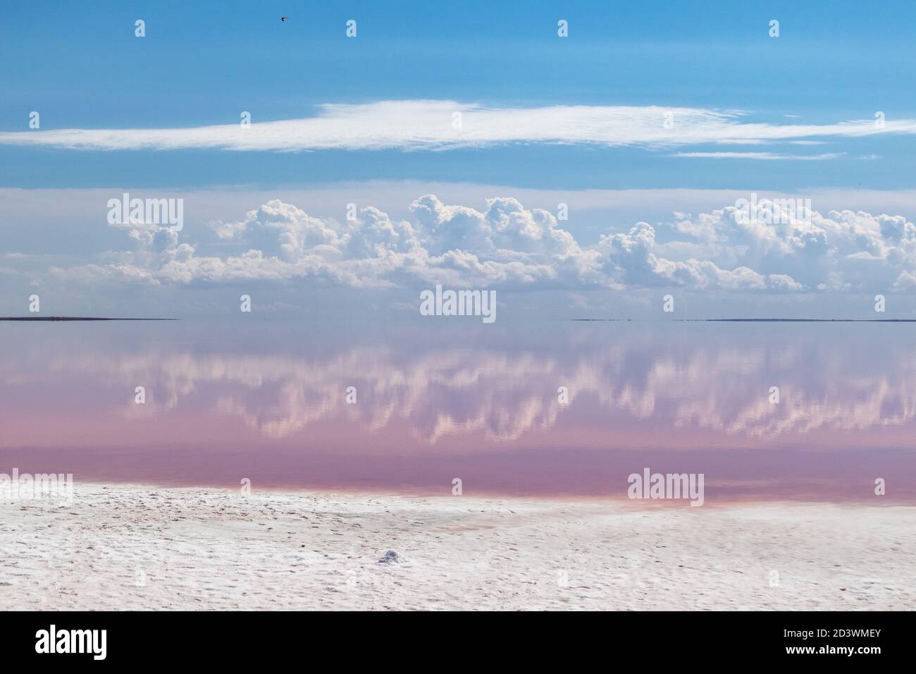 Pink sea hi-res stock photography and images - Alamy