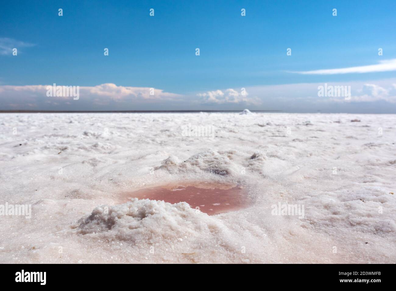 Pink water puddle on salt lake coast with white salt and blue sky ...