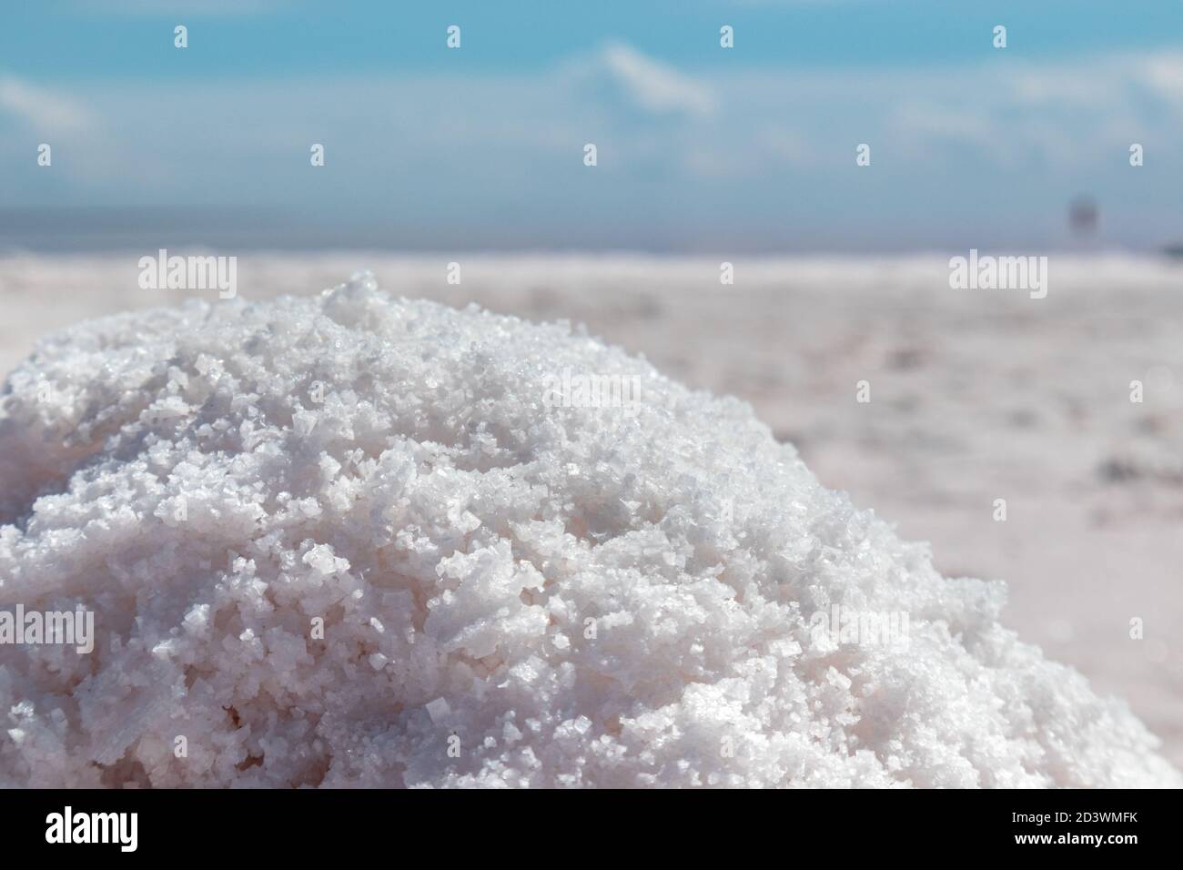 Pink salt bunch close-up shining on coast of salt lake with blurred ...