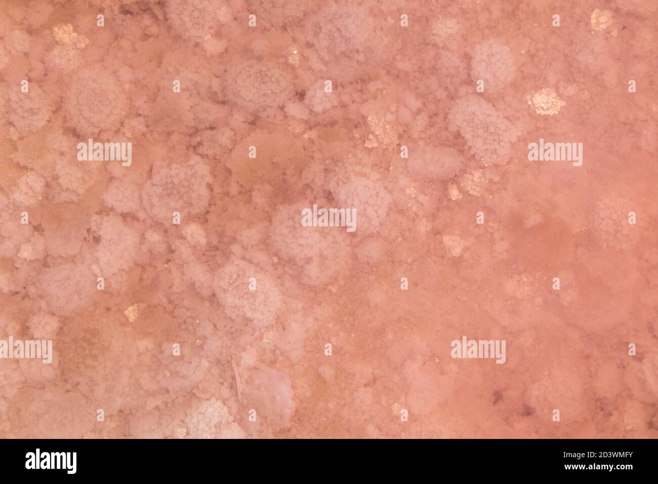 Salt crystallization pattern hi-res stock photography and images - Alamy