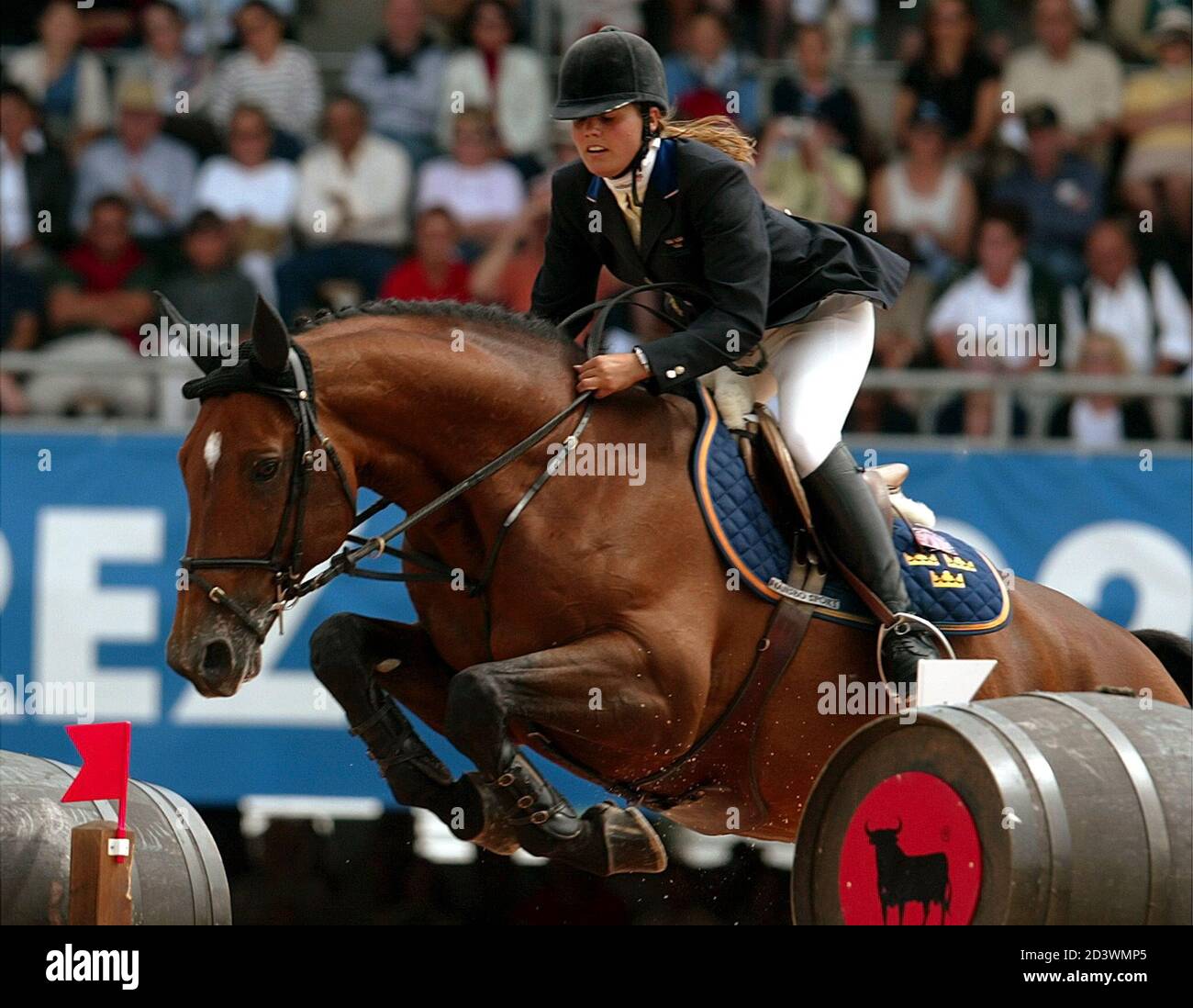 Harness racing swedish horse hi-res stock photography and images - Alamy