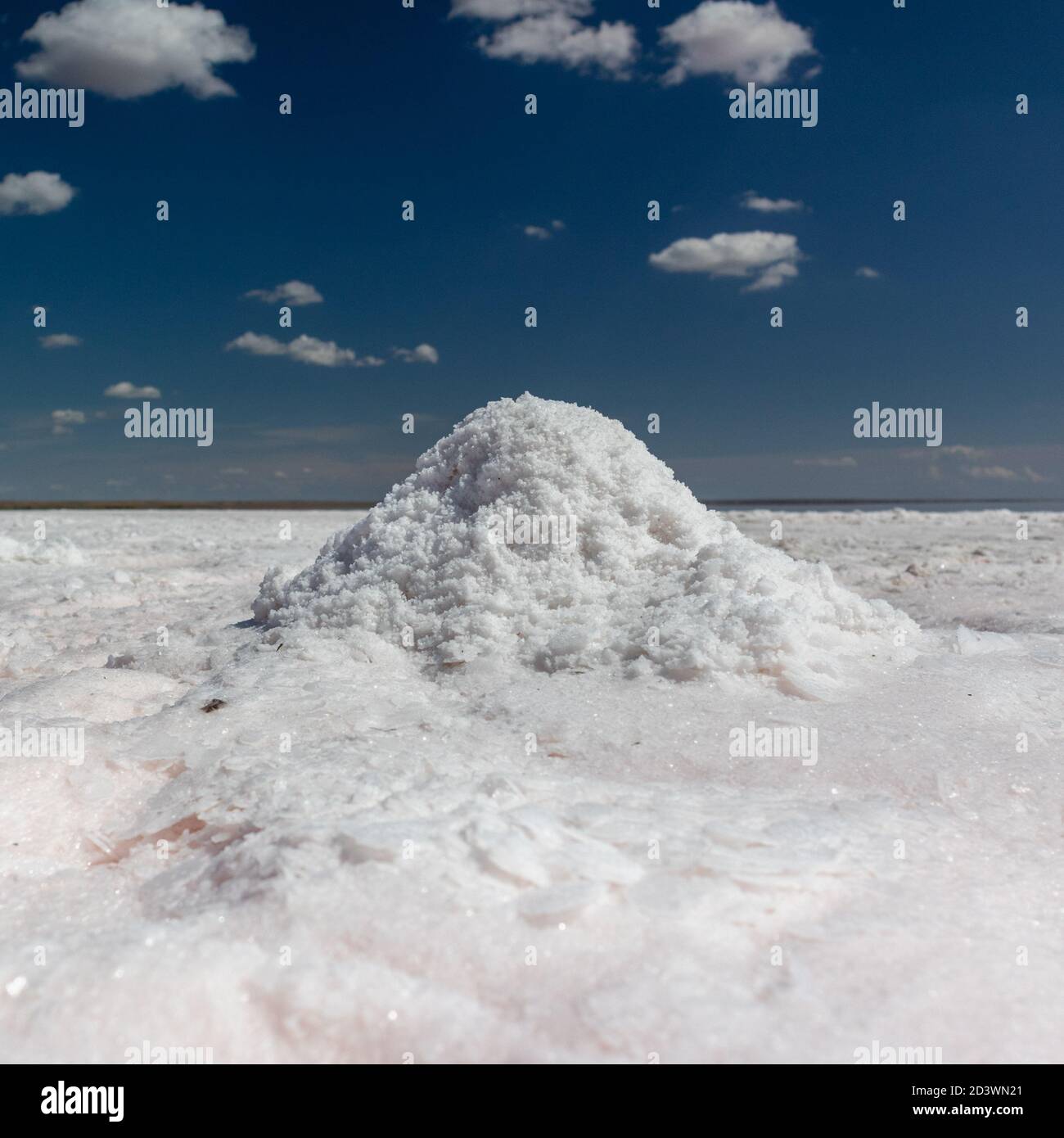 White salt bunch collecting. Close-up shining sea salt on coast of salt ...