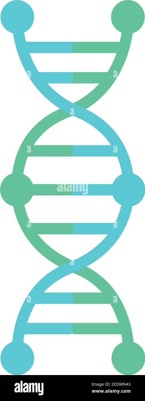 Dna structure design, Chromosome science molecule genetic biology ...