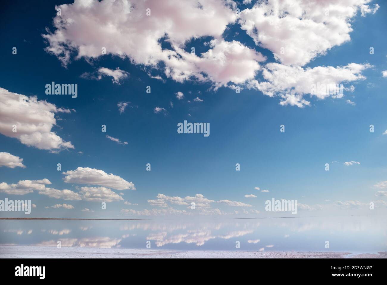 Salt lake pink water mirror reflective surface with nice pink light ...