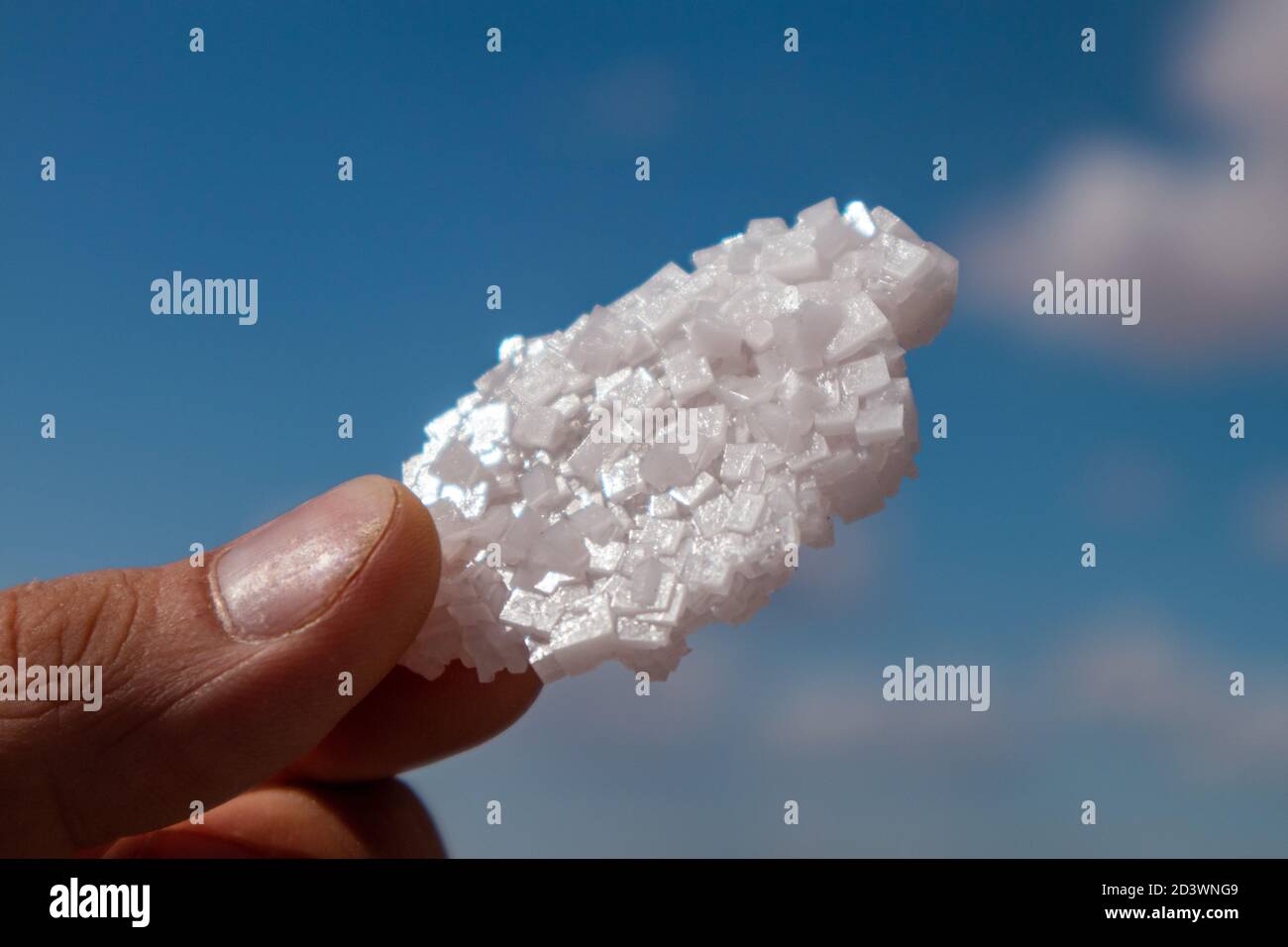 Hand fingers holding white shining salt flake crystal with blurred blue ...