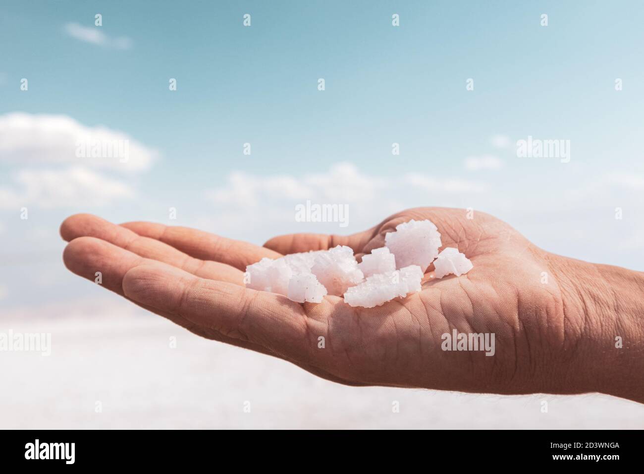 Hand holding bunch of pink white salt flakes crystals above water with ...
