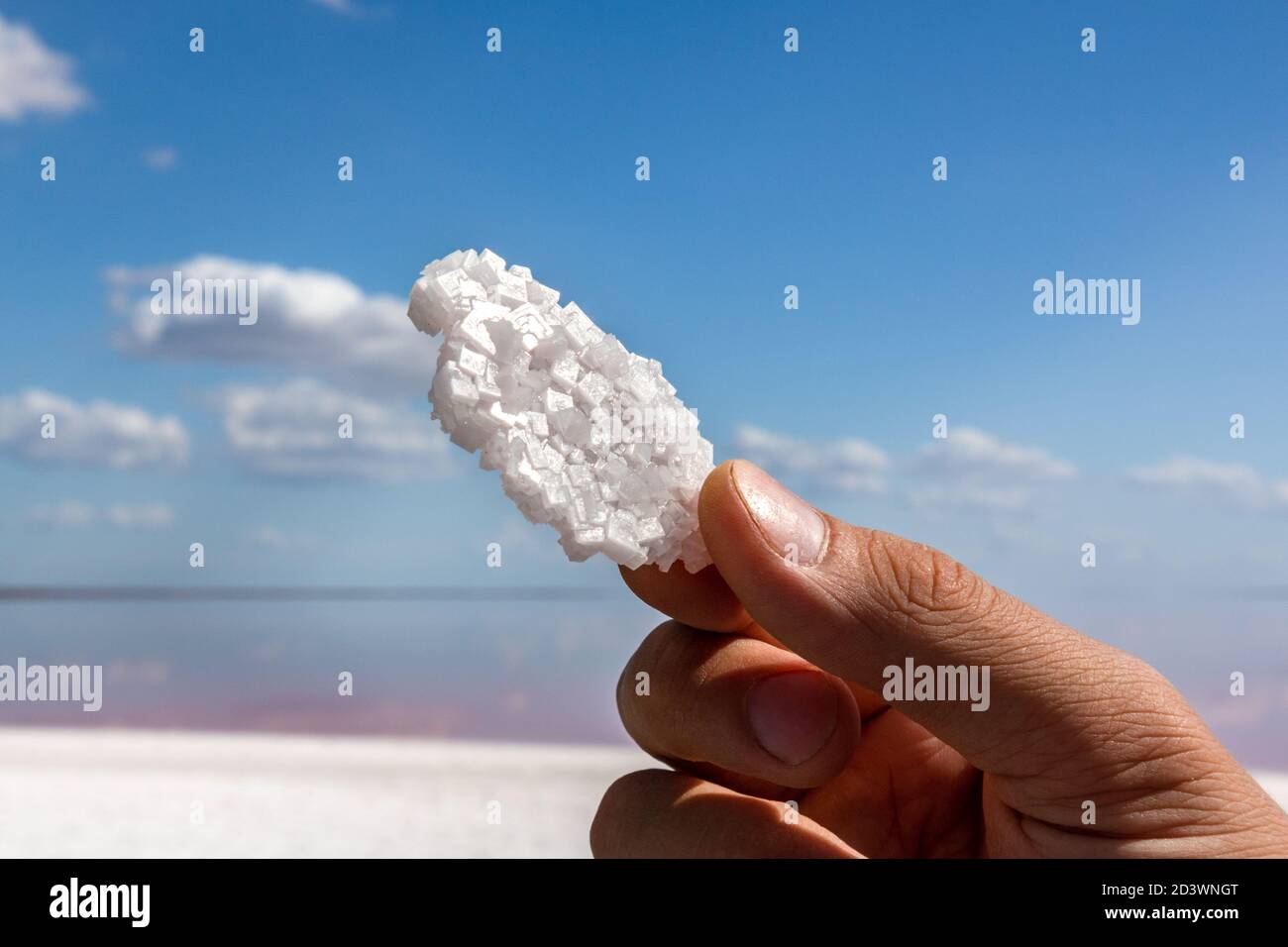 Hand fingers holding white shining salt flake crystal with blurred ...