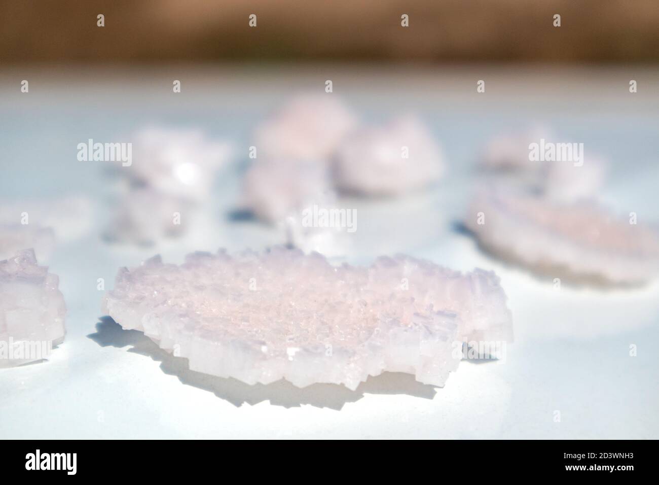 Pink white salt flake crystals on white reflective surface with blurred ...