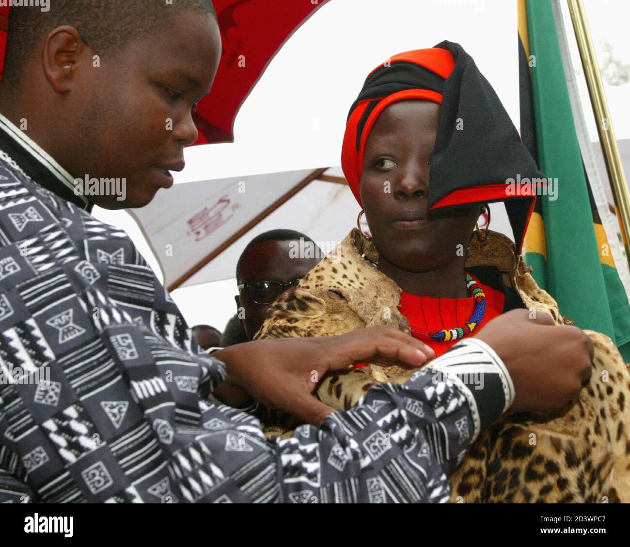 Modjadji High Resolution Stock Photography and Images - Alamy