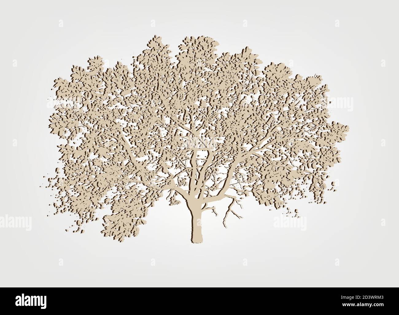 Etching and engraving on paper Stock Vector Images - Alamy