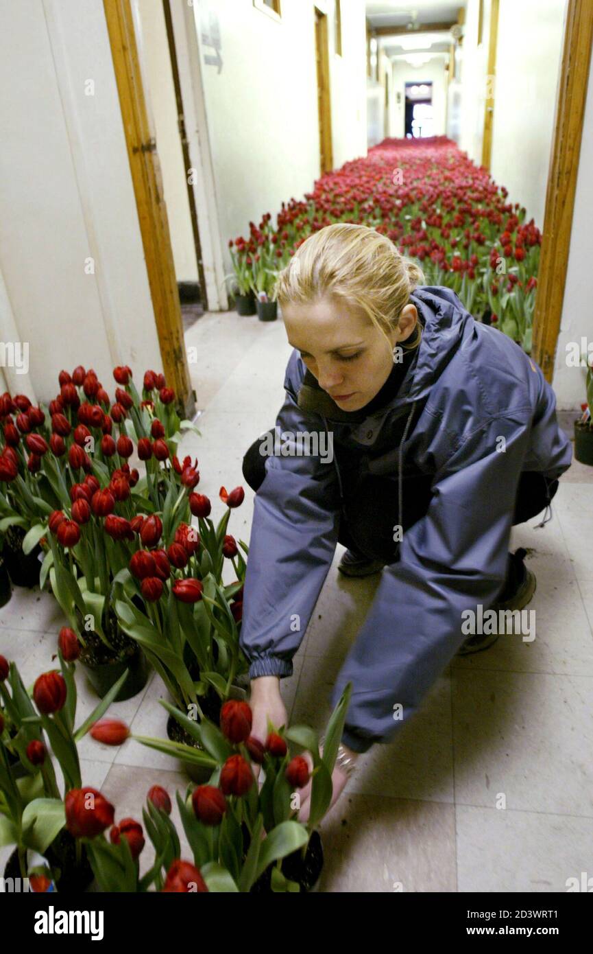 Bloom 28 hi-res stock photography and images - Alamy