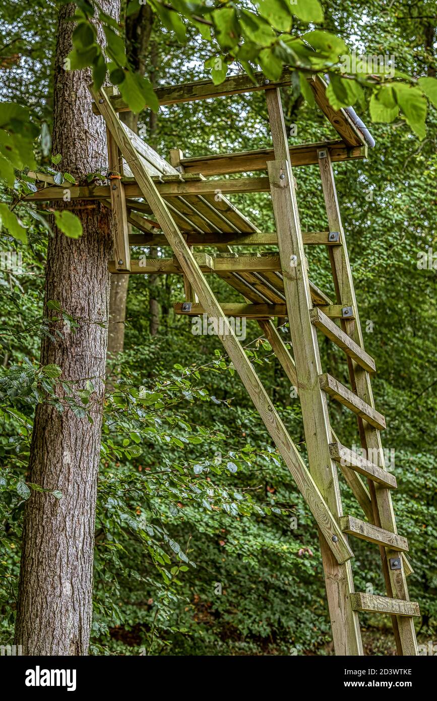 Hunt seat hi-res stock photography and images - Alamy
