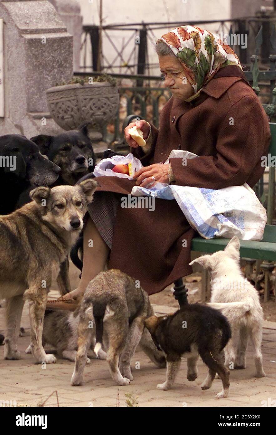 French actress brigitte bardot hi-res stock photography and images - Alamy