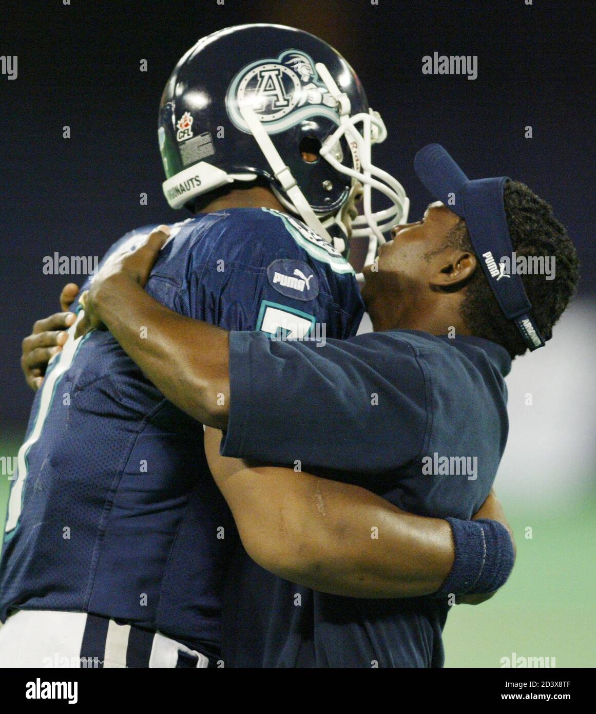 Back of cat's head hi-res stock photography and images - Alamy