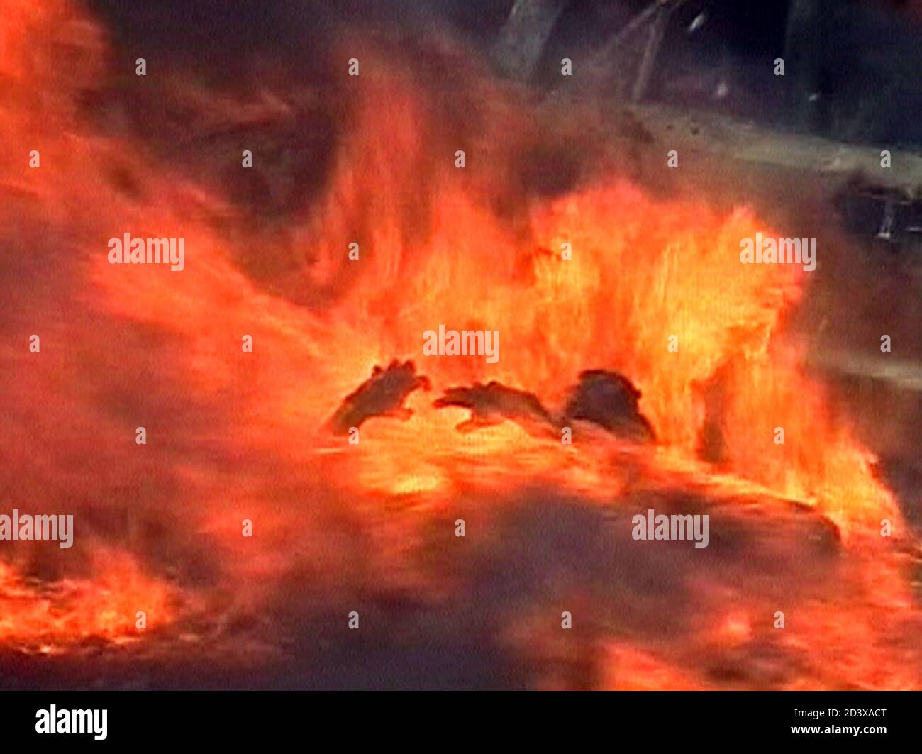 Body burns hi-res stock photography and images - Alamy
