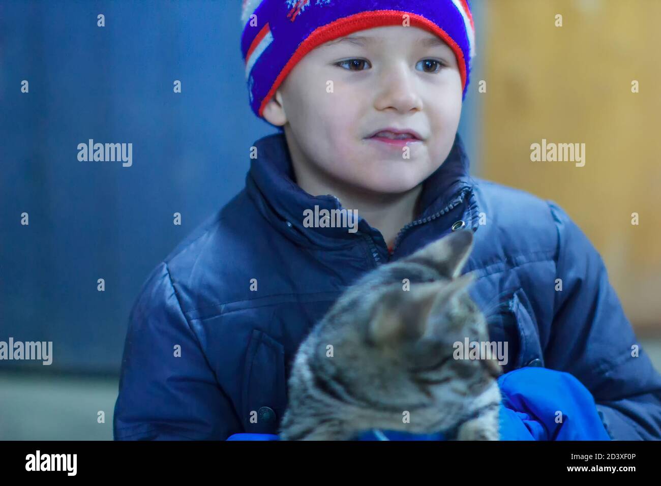 Portrait of a village boy in winter clothes with a cat in his hands ...