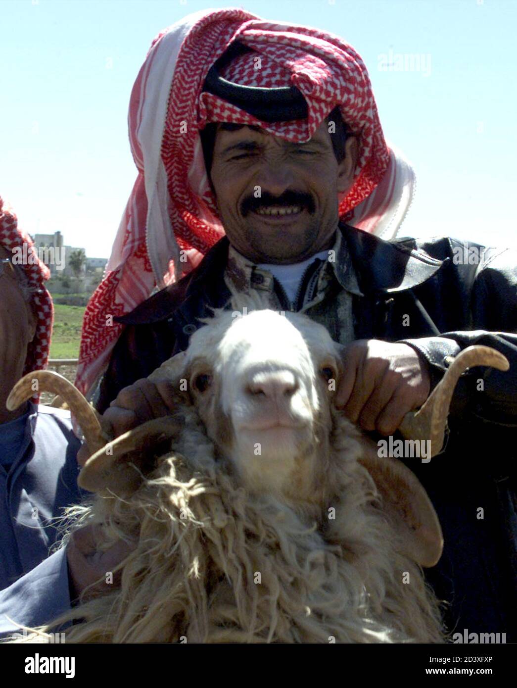 Bedouin sheep jordan hi-res stock photography and images - Alamy