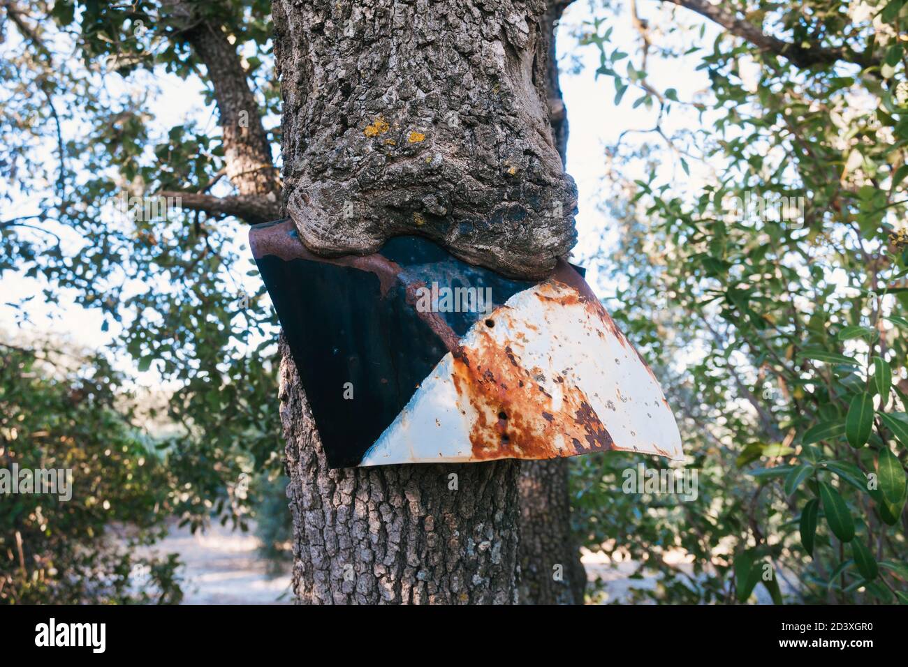 Steel private hunting sign on the tree Stock Photo - Alamy