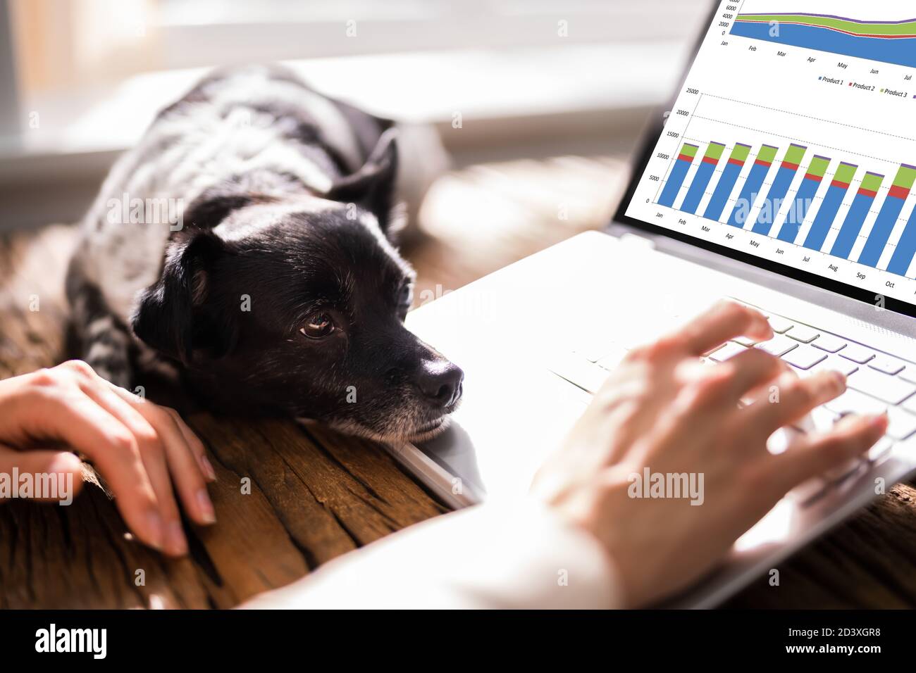 Technology Chart High Resolution Stock Photography and Images - Alamy