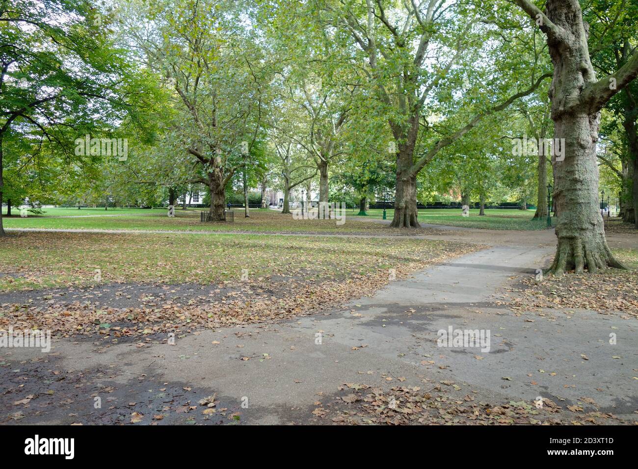 Green Park, London, UK Stock Photo - Alamy