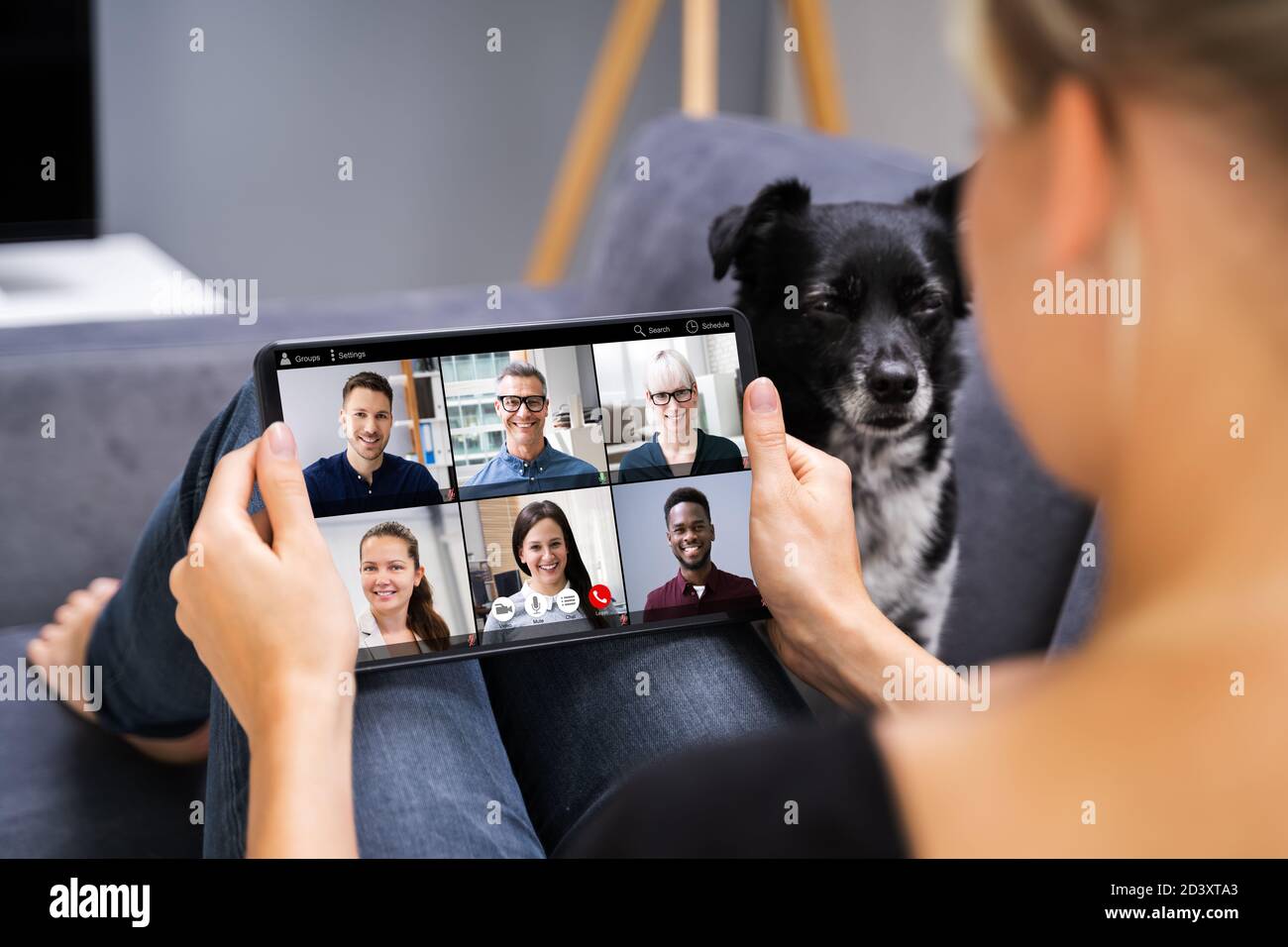 Online interview dog hi-res stock photography and images - Alamy