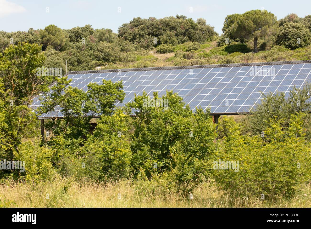 Large solar panel in nature for green energy Stock Photo - Alamy