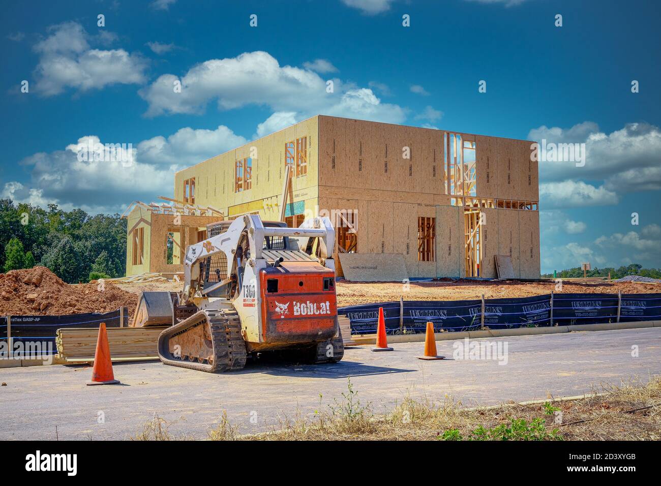 American bobcat hi-res stock photography and images - Alamy