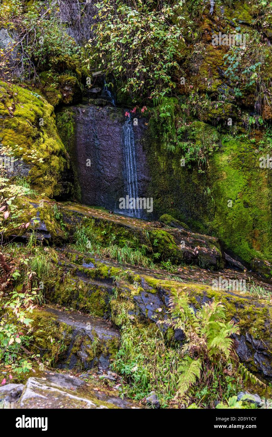 Small Waterfall On Moon Pass, Wallace, Idaho Stock Photo - Alamy