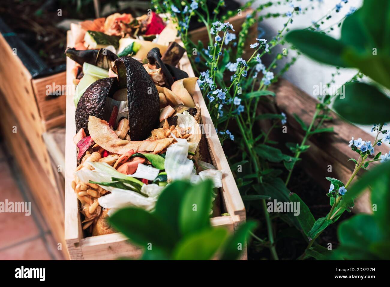 Peelings and organic waste in a wooden crate to create homemade compost ...