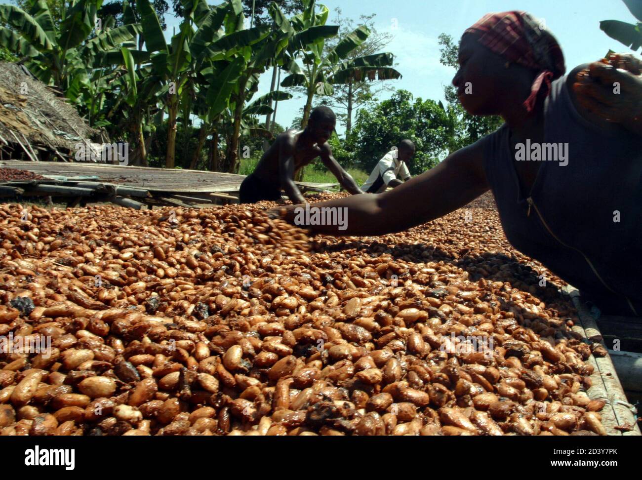 Farmgate High Resolution Stock Photography and Images - Alamy