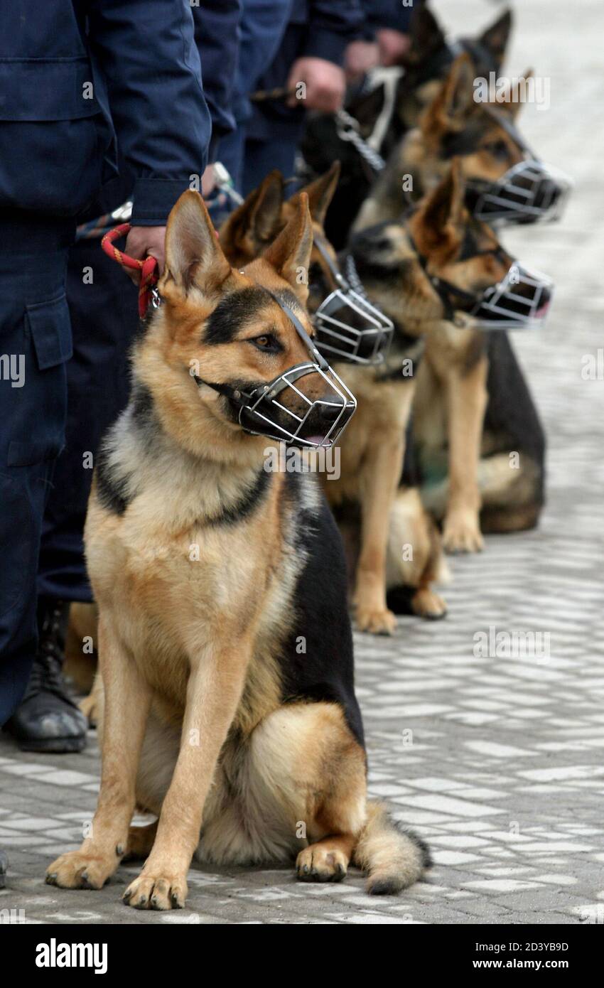 Albanian demonstrating hi-res stock photography and images - Alamy