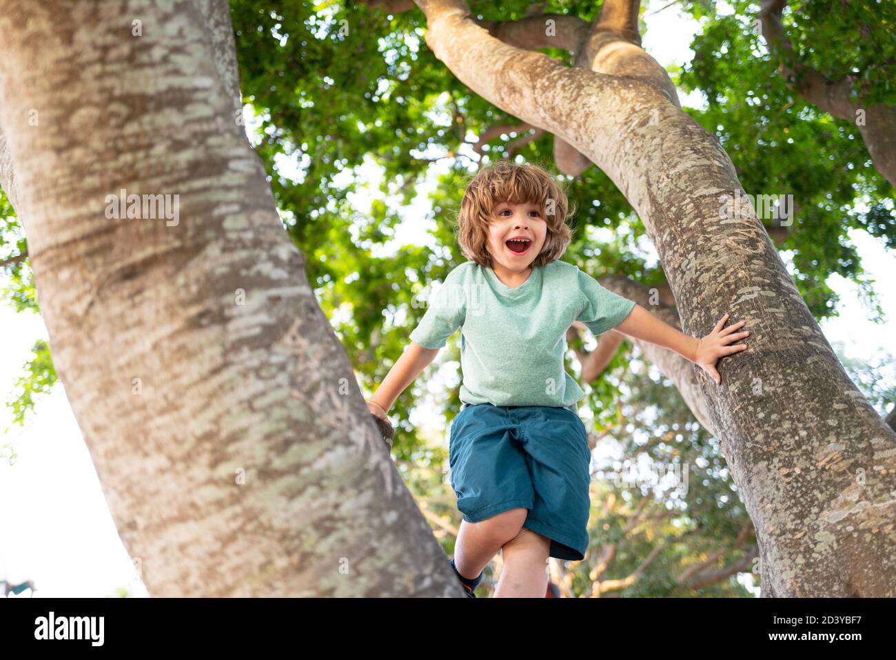 Child climbed a tree hi-res stock photography and images - Alamy