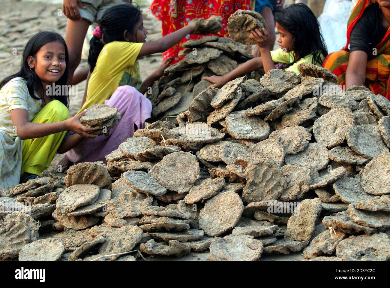 Cattle Cakes High Resolution Stock Photography and Images - Alamy