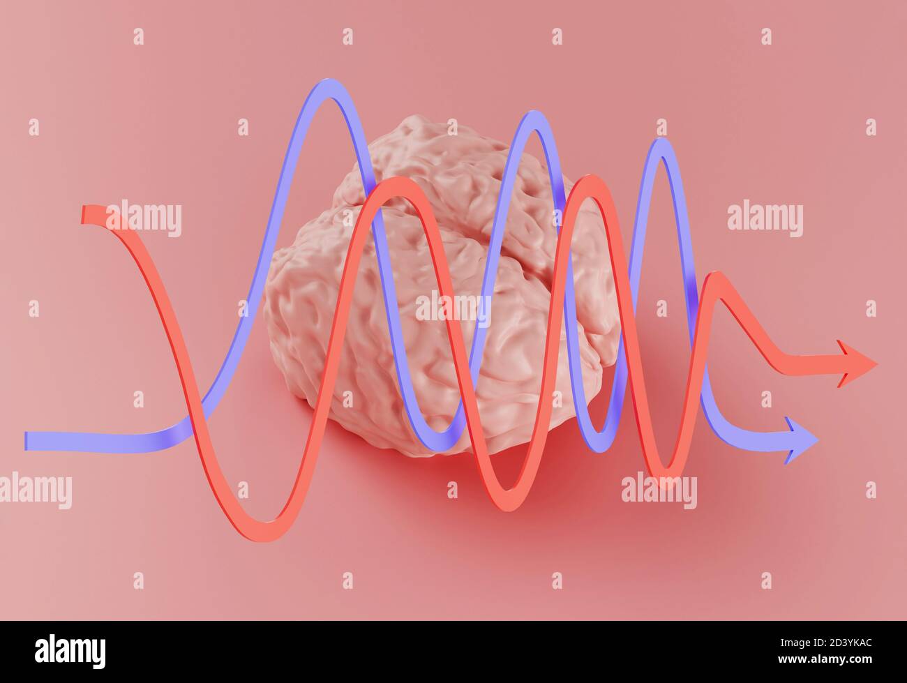 human pink brain model and red blue curved arrows on pink background ...