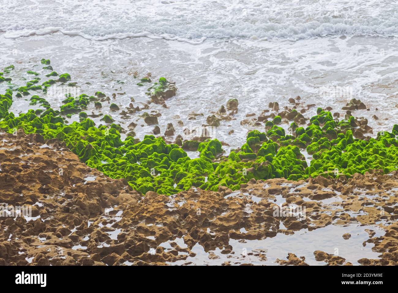 Mossy rock texture hi-res stock photography and images - Alamy