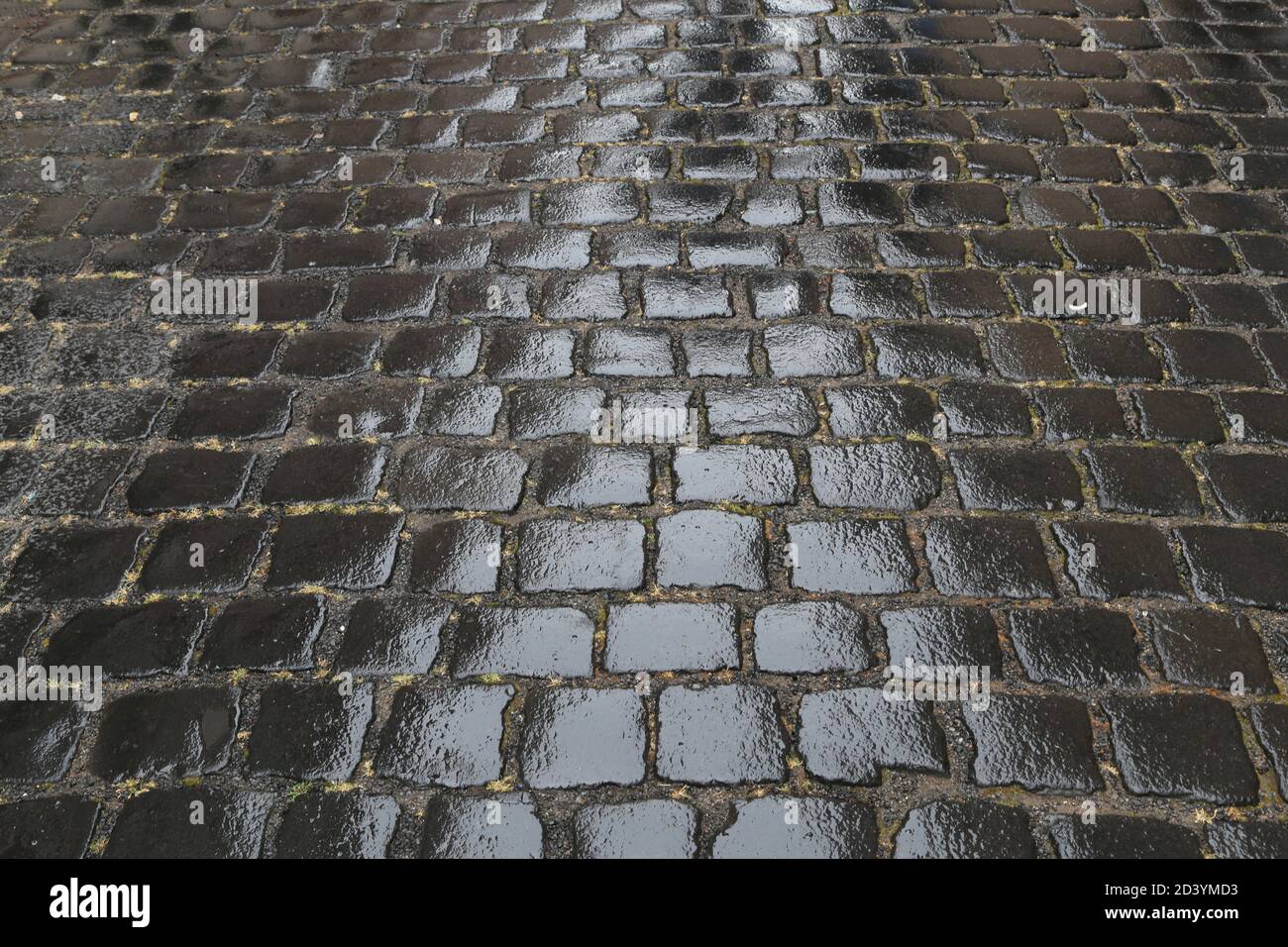 Top view of a ground made of blocks wet from rain Stock Photo - Alamy