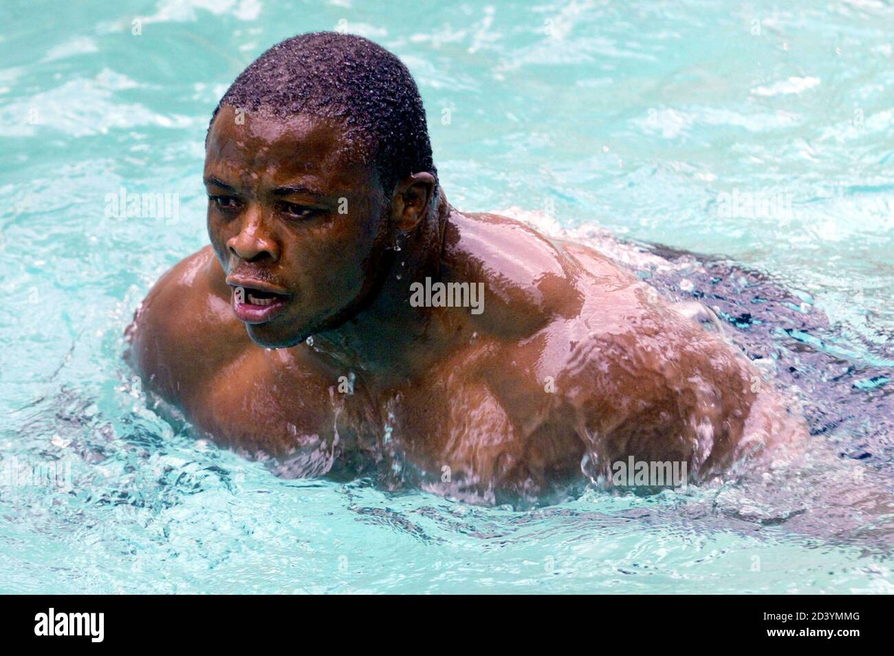 Sephaka hi-res stock photography and images - Alamy